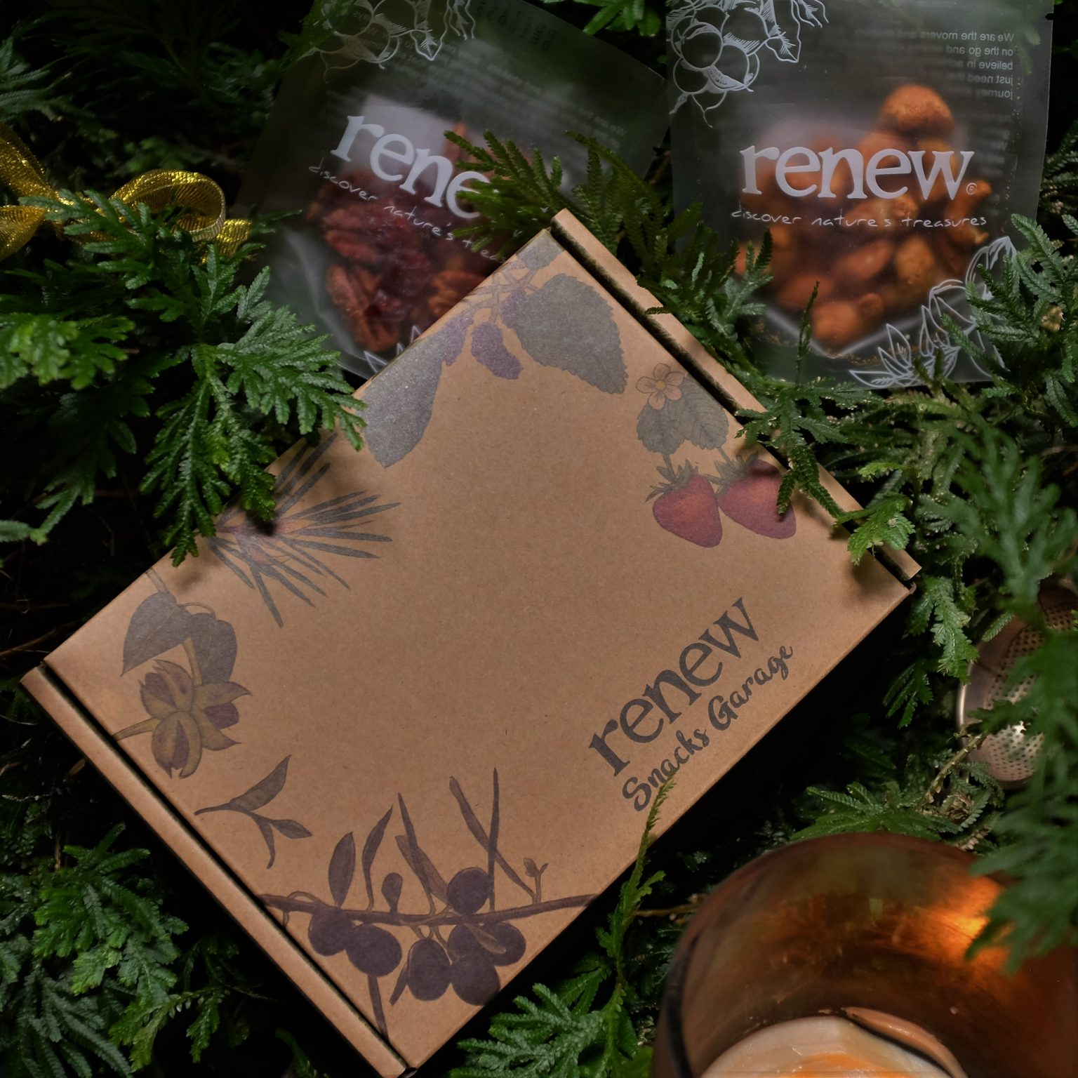 renew – discover nature's treasures